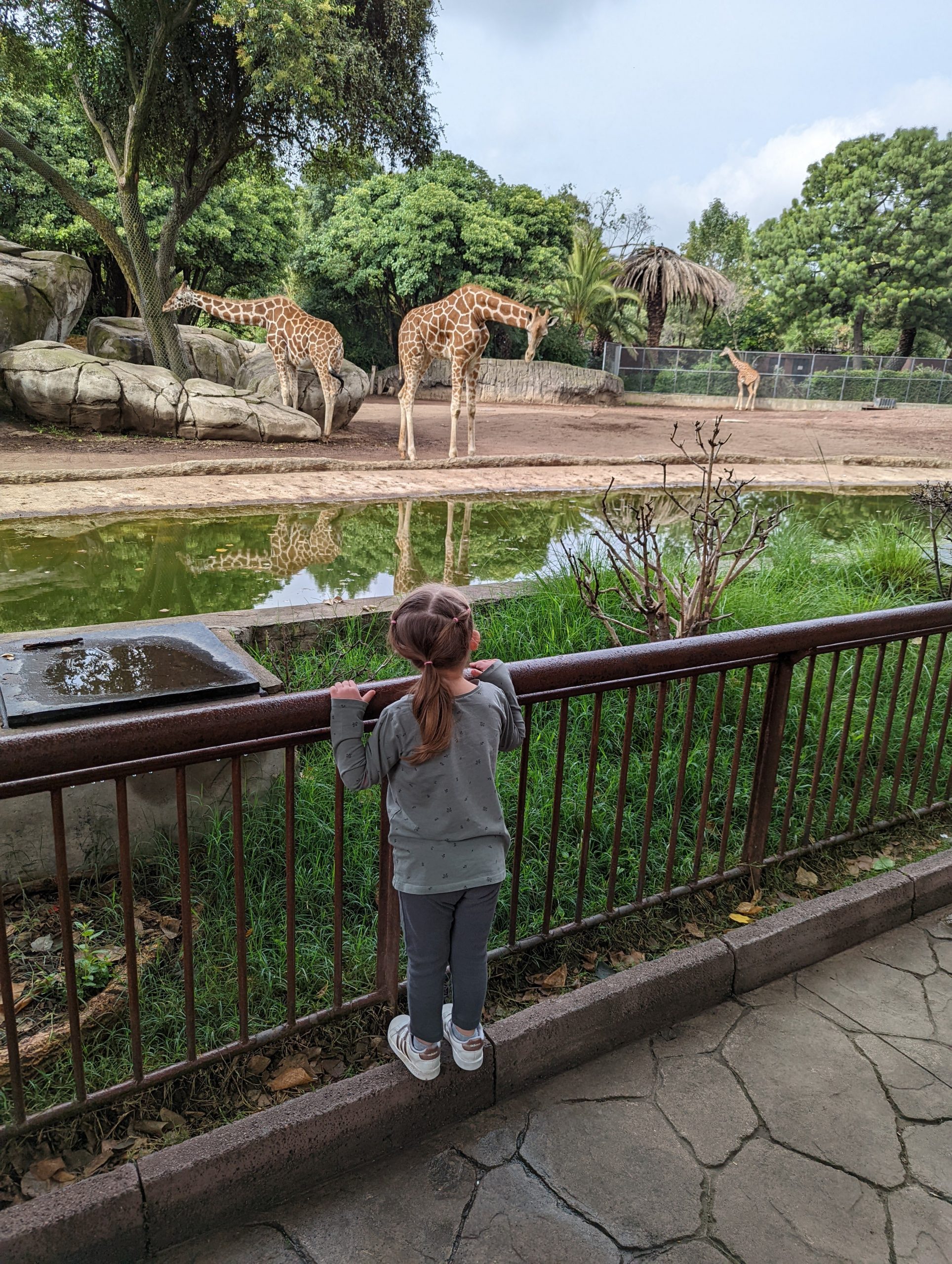 5 Amazing Family Activities in Chapultepec Park